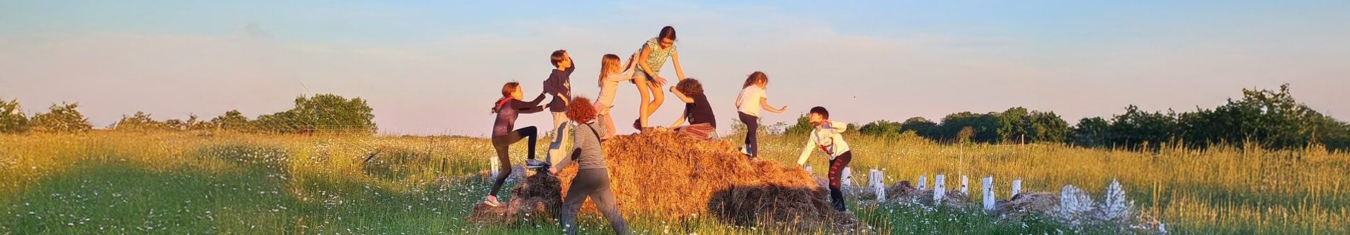 Les Oasiens de l'Oasis du Coq à l'Âme - Oasis du coq à l'Âme
